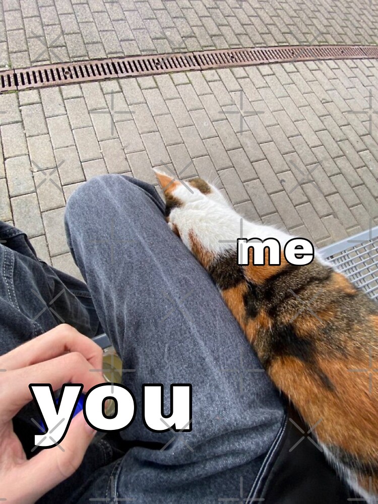 "you me - Cat - Cream Color" Sticker for Sale by 666killershirts ...