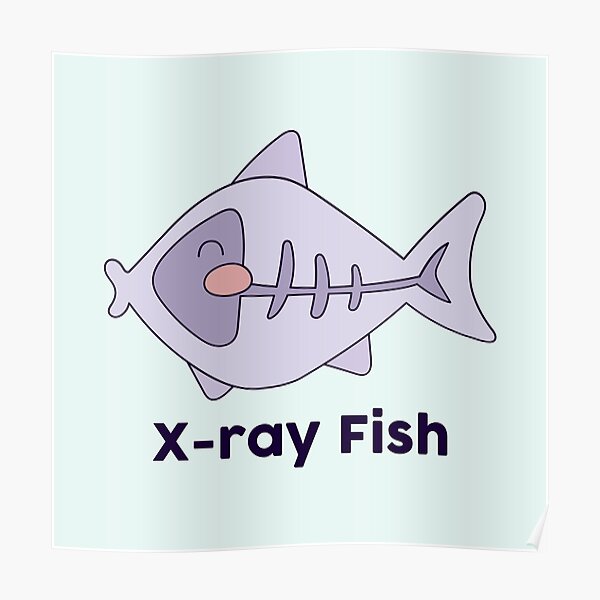 "x-ray fish" Poster for Sale by Animster | Redbubble