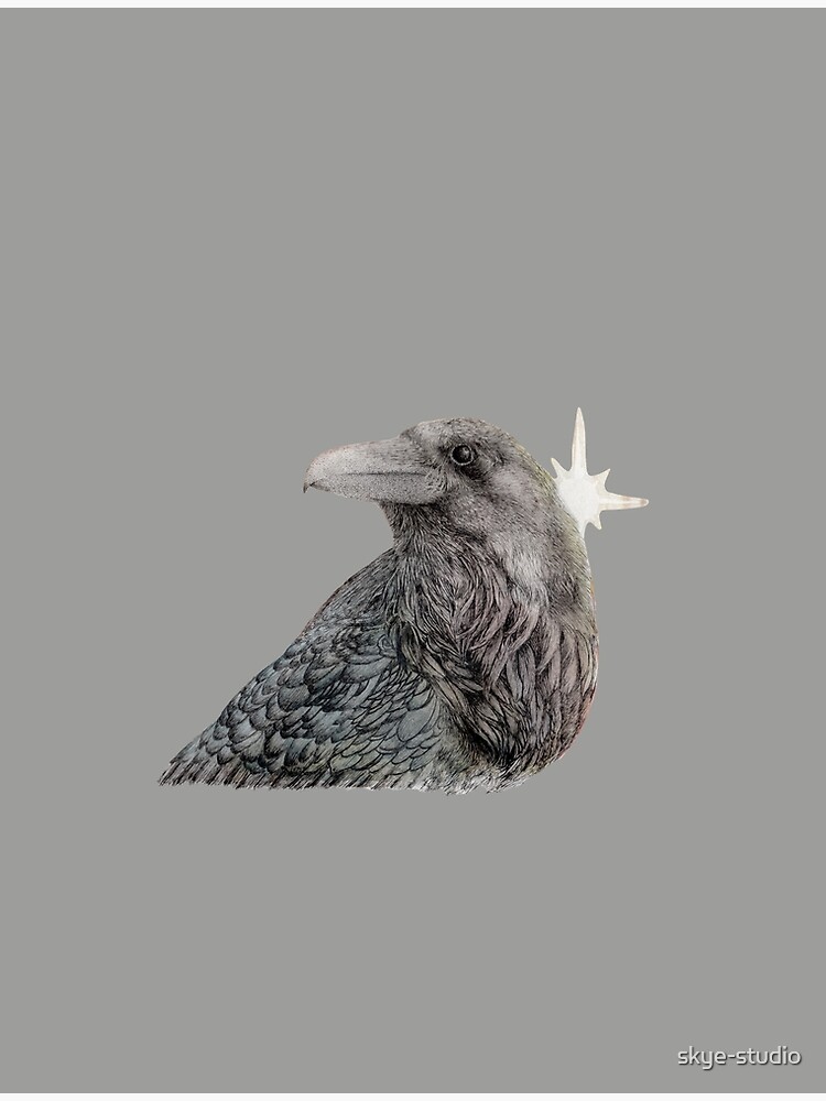 "Raven with Sun" Poster for Sale by skye-studio | Redbubble
