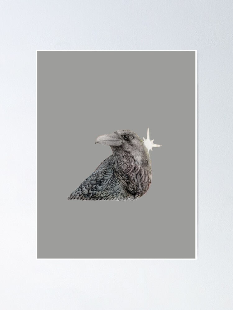 "Raven with Sun" Poster for Sale by skye-studio | Redbubble