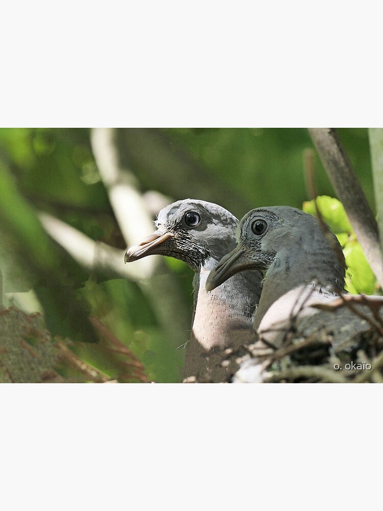 "r456 / finition 2022 - 5 - Tout beau ! " 2 éme Duos couvée de l'année ...