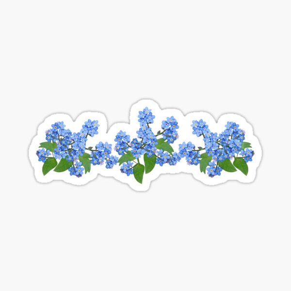 "Forget-me-not " Sticker for Sale by CelebrateDaily | Redbubble