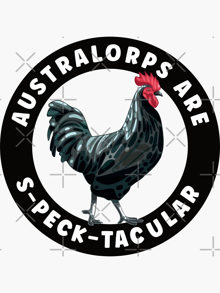 "Australorps Are S-Peck-Tacular Rooster" Sticker for Sale by ...