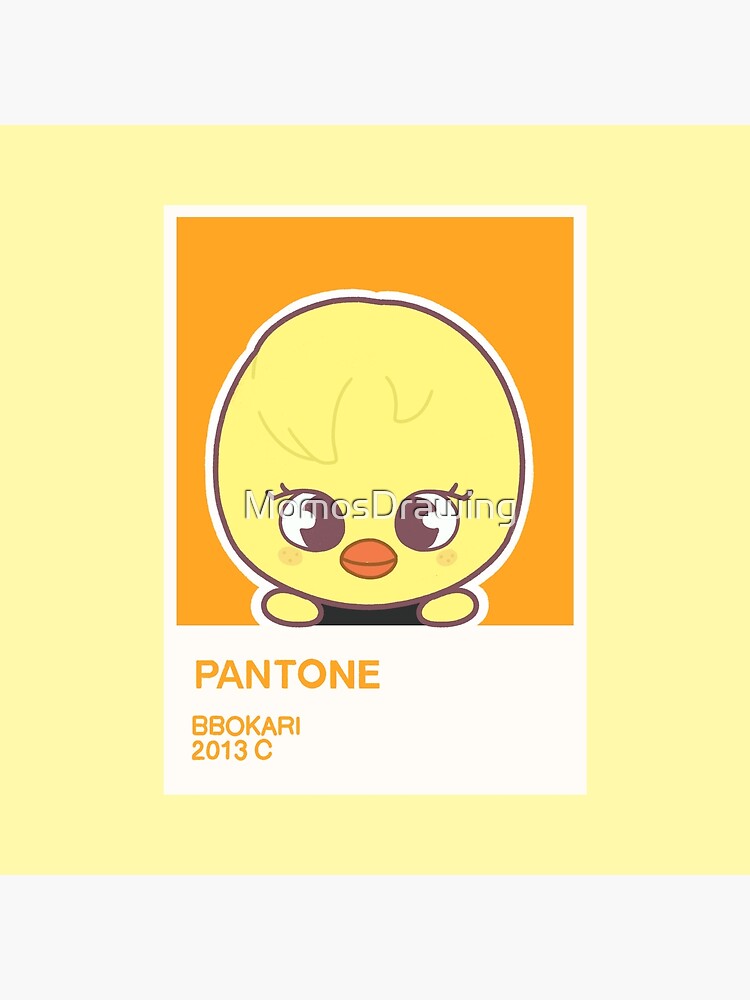 "Stray kids - Skzoo Bbokari" Poster by MomosDrawing | Redbubble