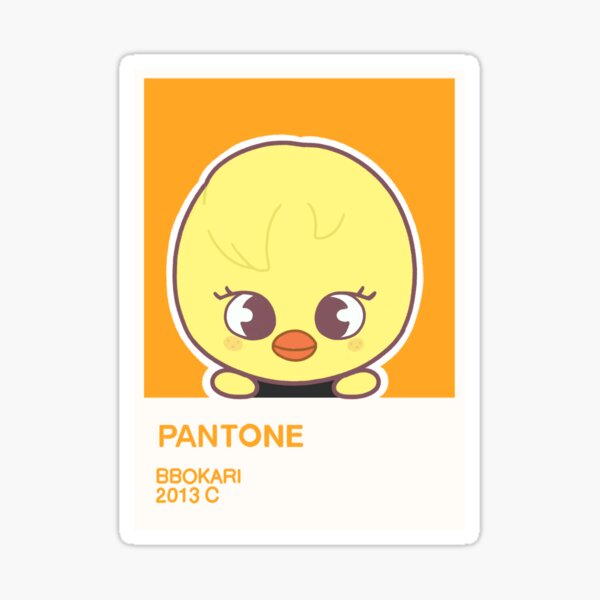 "Stray kids - Skzoo Bbokari" Sticker for Sale by MomosDrawing | Redbubble