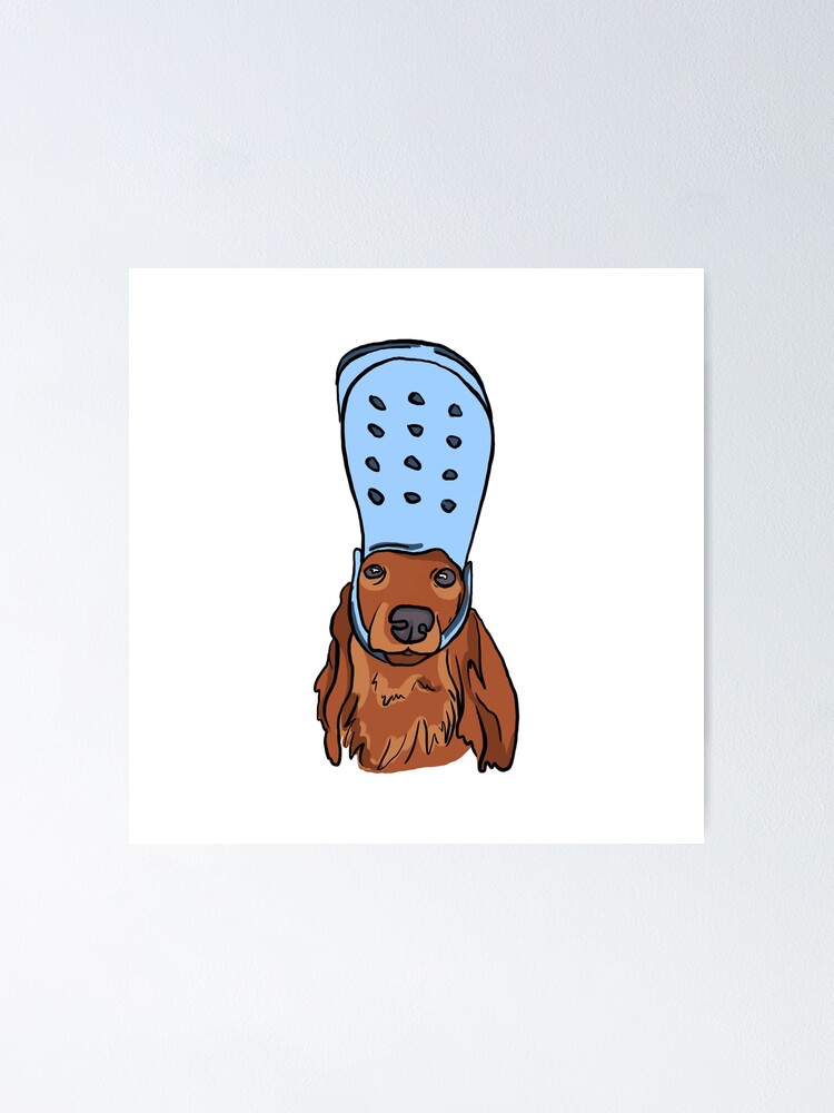 "Crying Cat Croc Meme sticker" Poster for Sale by Hamzamennai15 | Redbubble
