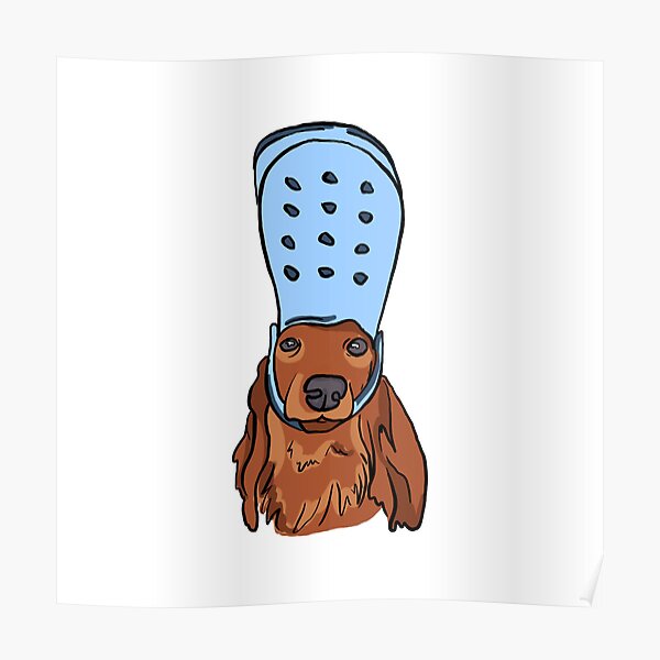 "Crying Cat Croc Meme sticker" Poster for Sale by Hamzamennai15 | Redbubble