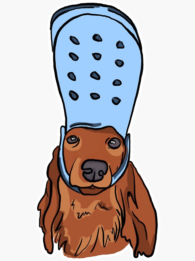 "Crying Cat Croc Meme sticker" Sticker for Sale by Hamzamennai15 ...