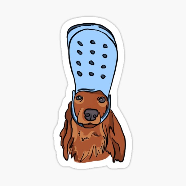 "Crying Cat Croc Meme sticker" Sticker for Sale by Hamzamennai15 ...