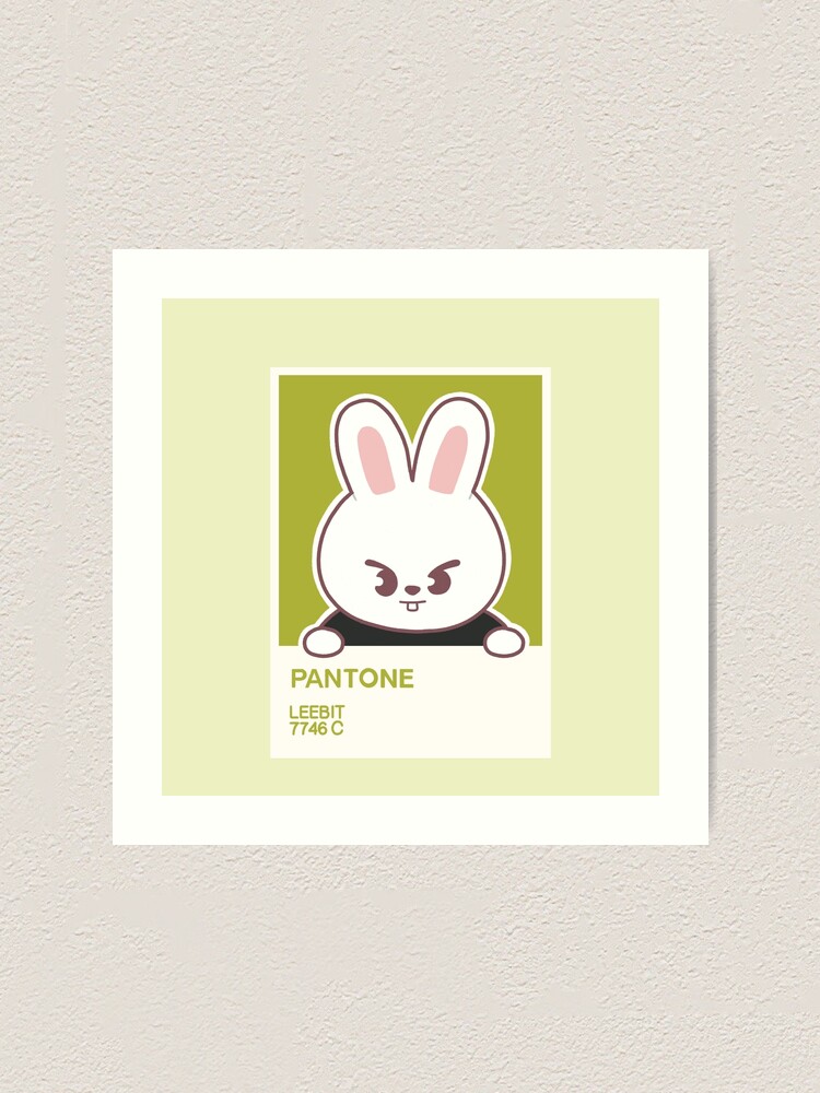 "Pantone stray kids - skzoo Leebit" Art Print for Sale by MomosDrawing ...
