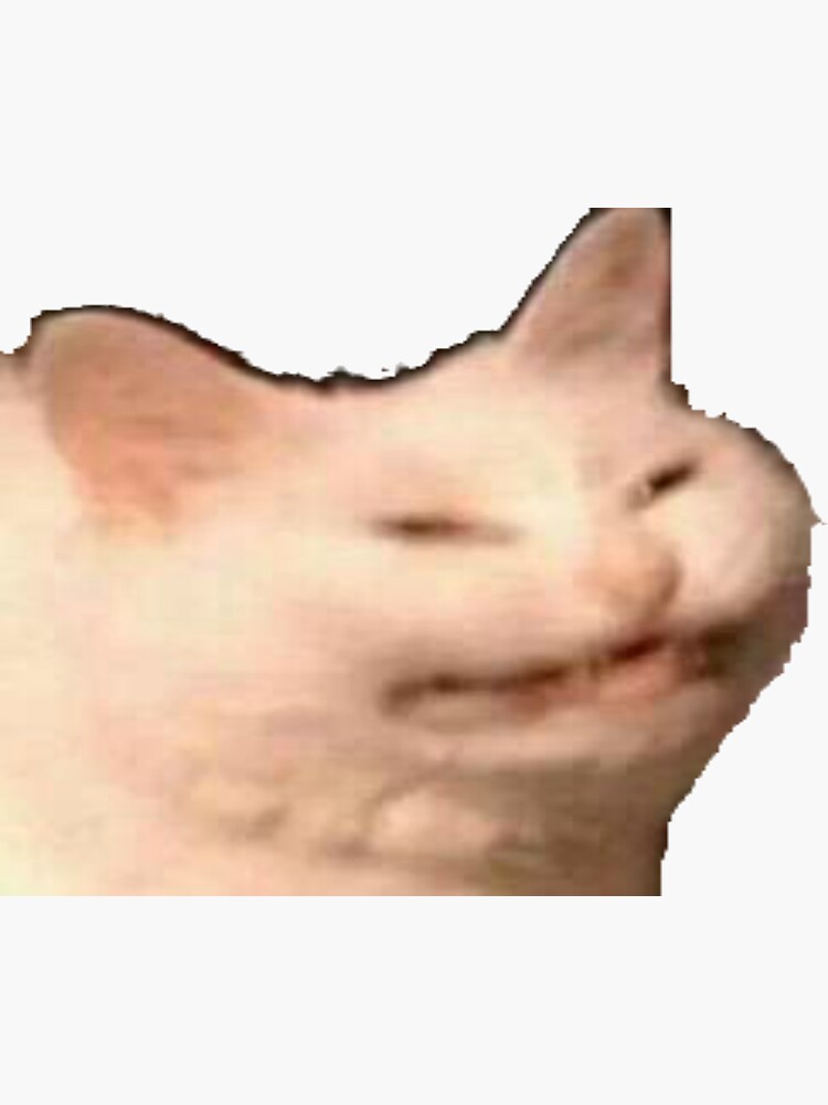 "A N G E R Y KITTO" Sticker for Sale by 7ilas | Redbubble