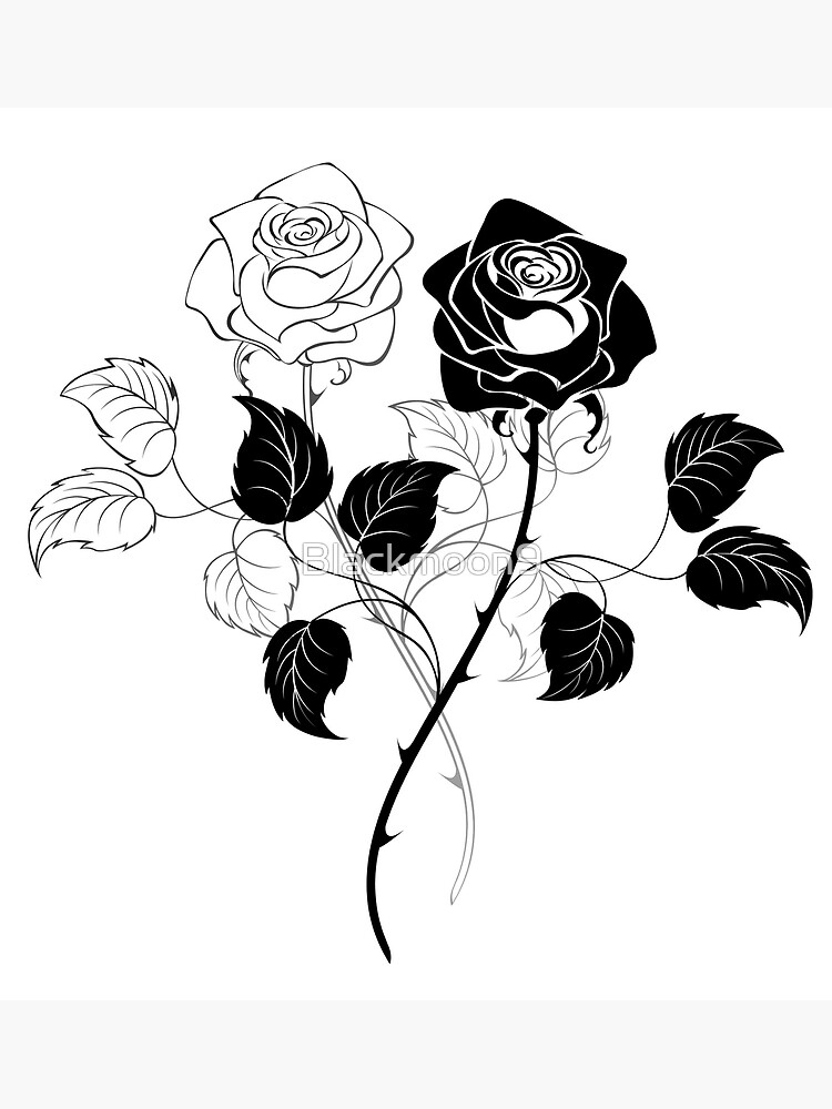"Two Roses ( Black and White )" Art Print for Sale by Blackmoon9 ...