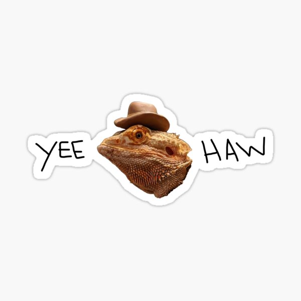 "Yee Haw Cowgirl Bearded Dragon" Sticker for Sale by ForgsRUs | Redbubble