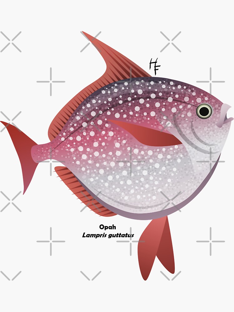 "Team Submarine Opah (Lampris guttatus)" Sticker for Sale by ...