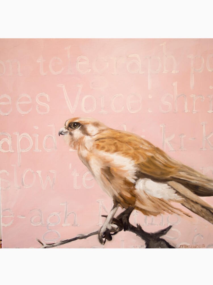 "kikikikikiki: Nankeen Kestrel" T-shirt for Sale by alstrangeways ...