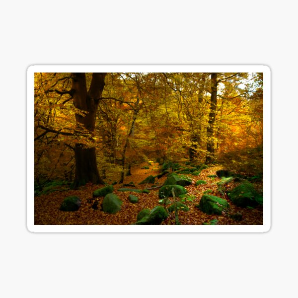 Pegatina «Árboles y rocas en Padley Gorge» de Alisonchambers2 | Redbubble