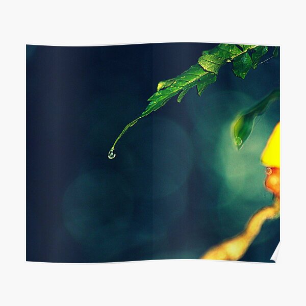 "green leaf and raindrop" Poster for Sale by Francespoppy | Redbubble