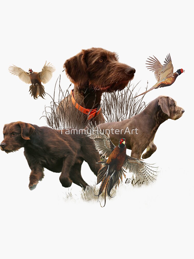 "Pudelpointers" Sticker for Sale by TammyHunterArt | Redbubble