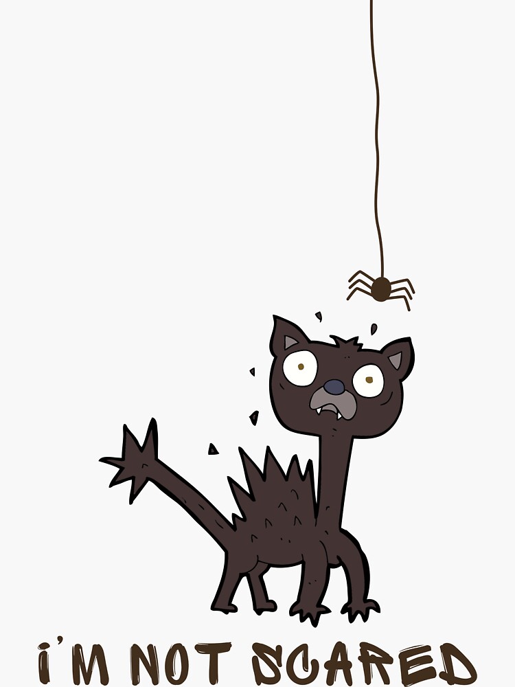 Cat Meme So Funny Sticker For Sale By Khaled Bahaa Redbubble