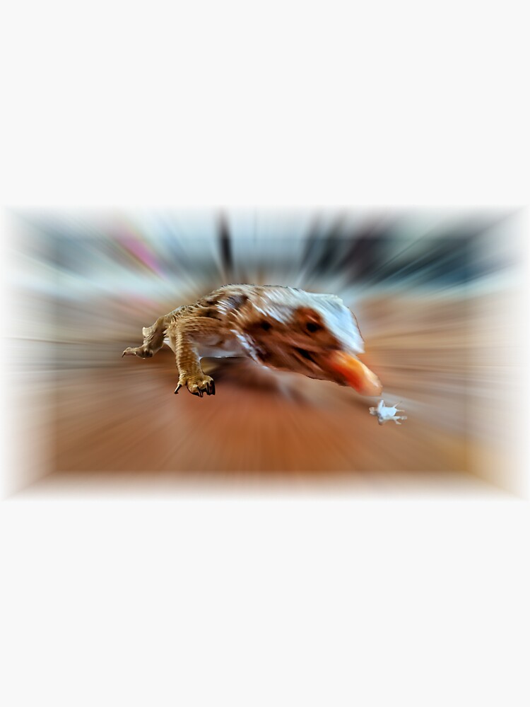 "Bearded Dragon Hunting Crickets" Sticker for Sale by ForgsRUs | Redbubble