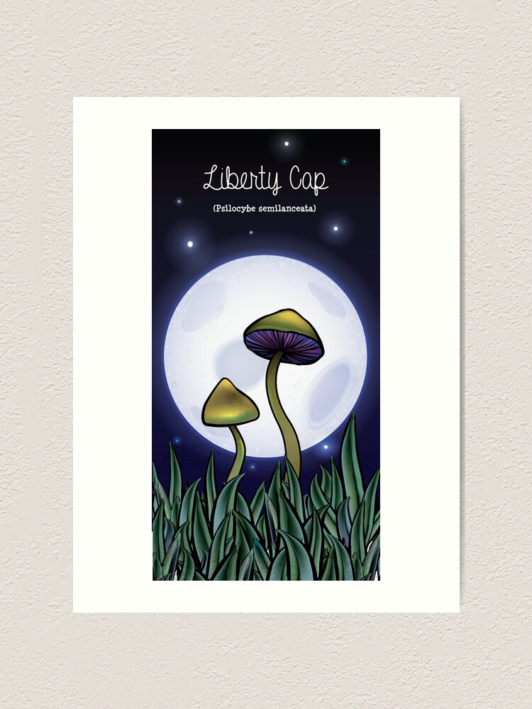"Liberty Caps" Art Print for Sale by merrypranxter | Redbubble