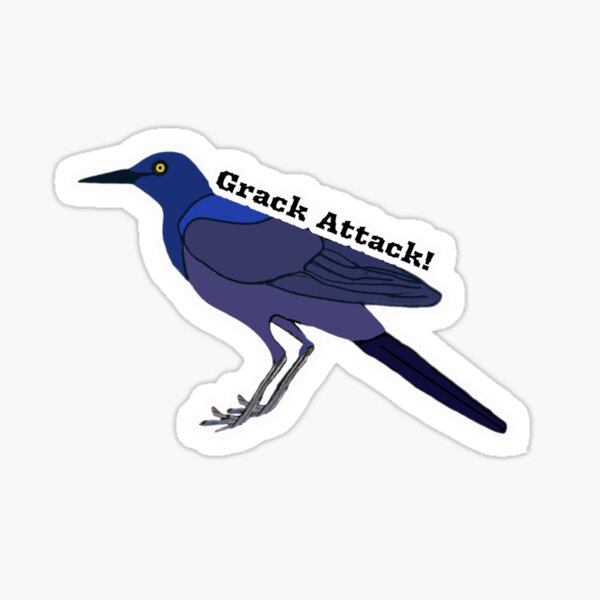 "Grackle Bird" Sticker for Sale by JandyDesign | Redbubble