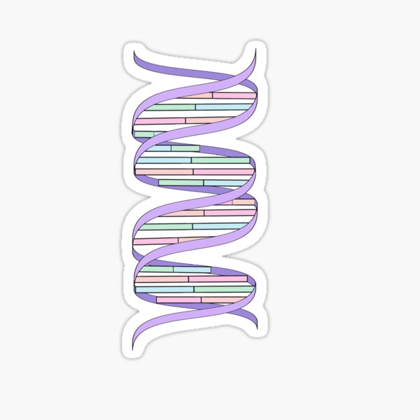 "The DNA double helix" Sticker for Sale by Lulai | Redbubble