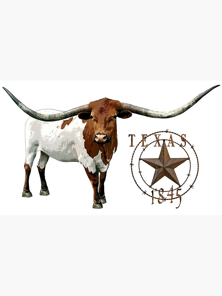 "TEXAS Longhorn Lone Star State" Poster for Sale by Daniel-Hagerman ...