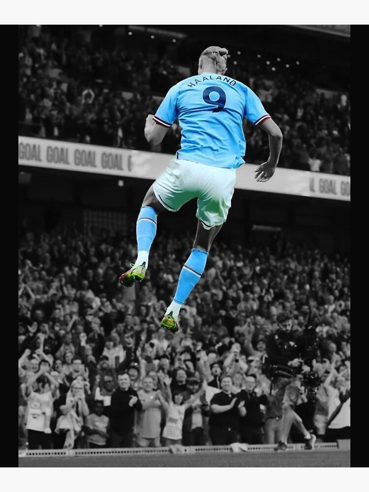 ERLING HAALAND GOAL Premium Matte Vertical Poster