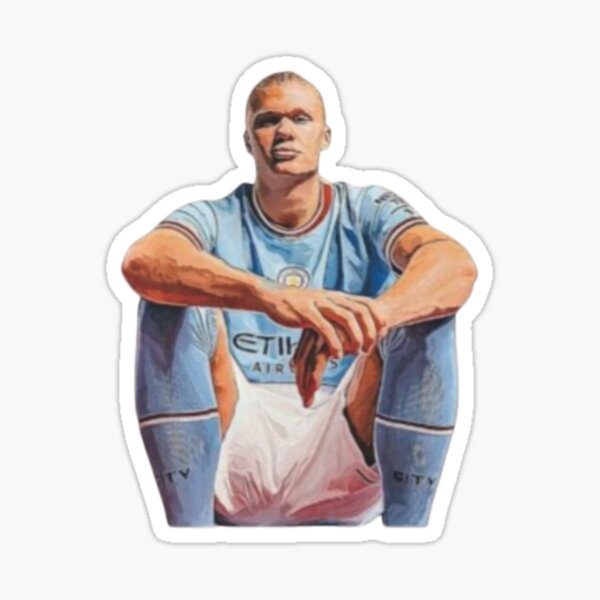 "Erling Haaland " Sticker for Sale by OcotilloBomsigs | Redbubble