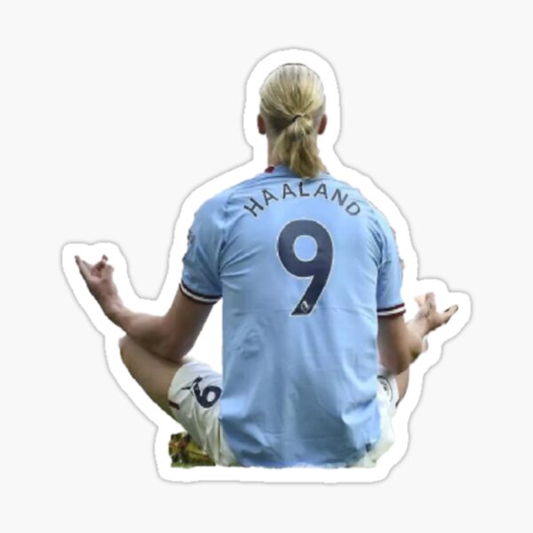 "Erling Haaland Terminator " Sticker for Sale by OcotilloBomsigs ...