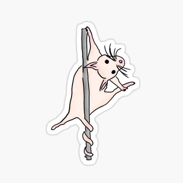 "Pole Dancing rat" Sticker for Sale by personpotato | Redbubble