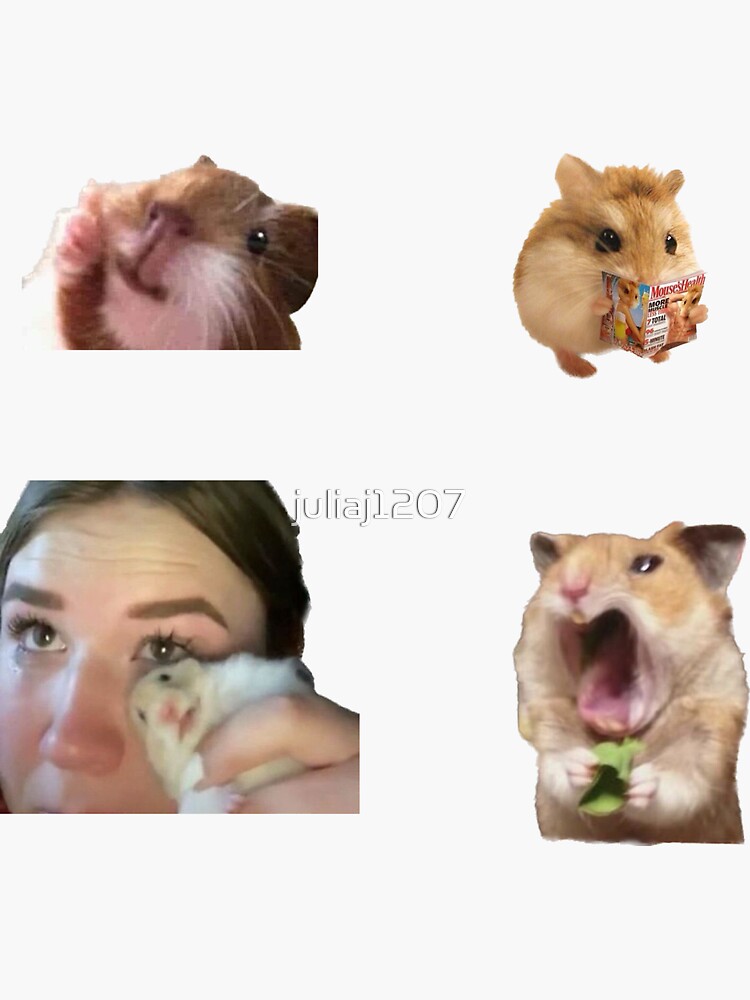 "Hamster Meme" Sticker for Sale by juliaj1207 | Redbubble