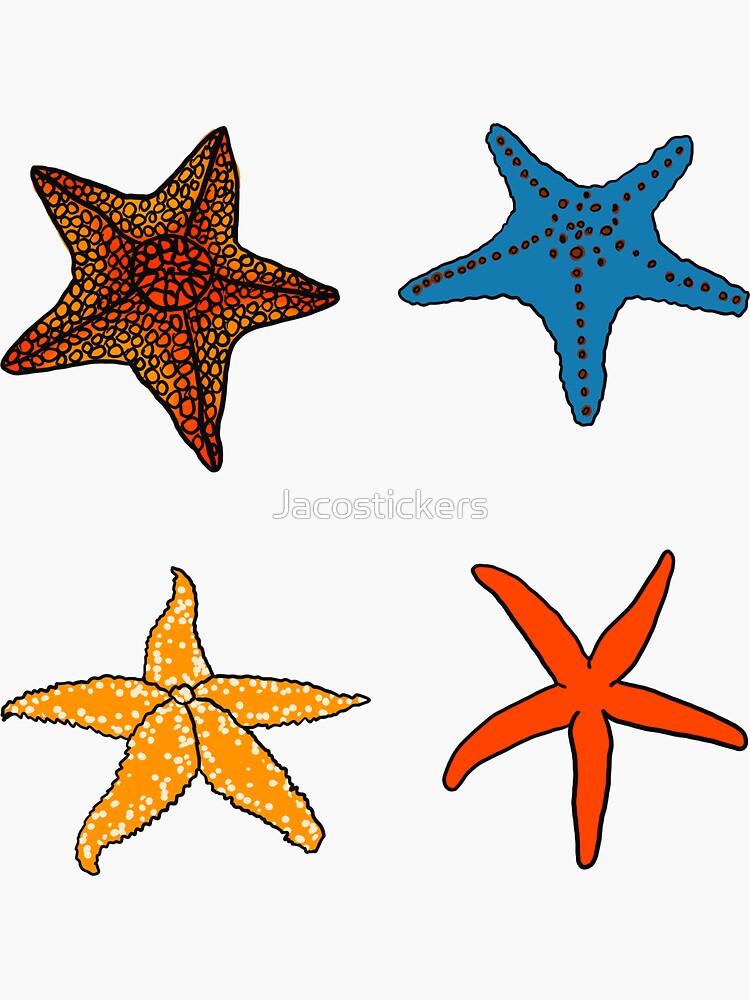 "Starfish sea ocean animal colorful Chibi kawaii cute pack" Sticker for ...
