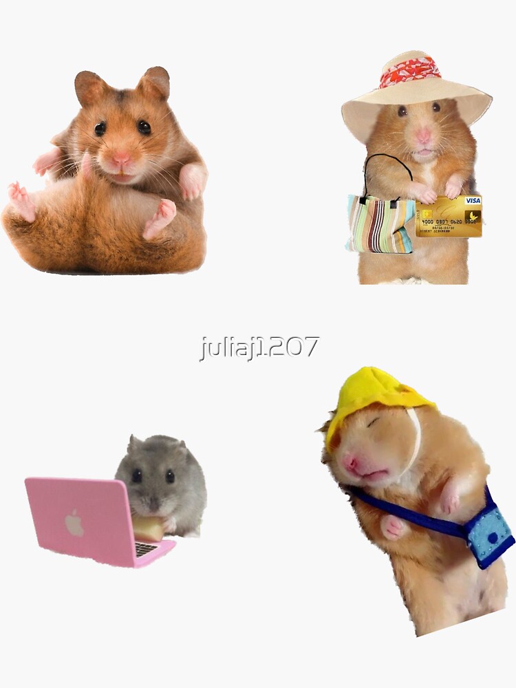 "Hamster Meme" Sticker for Sale by juliaj1207 | Redbubble