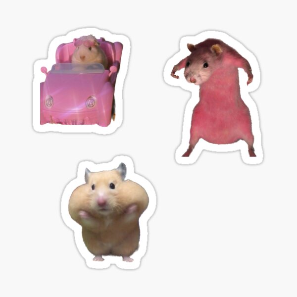 "Hamster Meme" Sticker for Sale by juliaj1207 | Redbubble