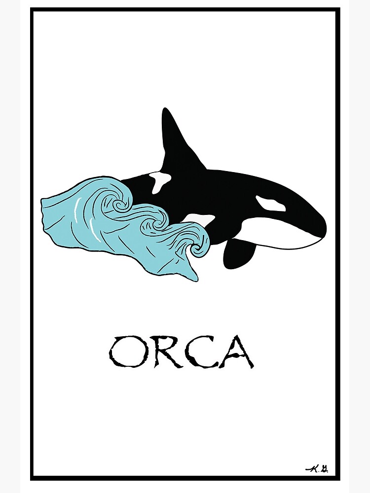 "Save Orcas T-shirt, Hoodie, Sticker, Art Print, iPhone Case, Samsung ...