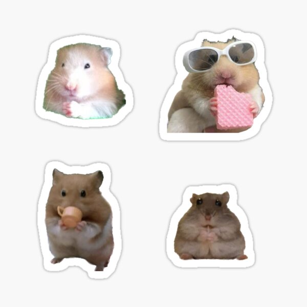 "Hamster Meme" Sticker for Sale by juliaj1207 | Redbubble