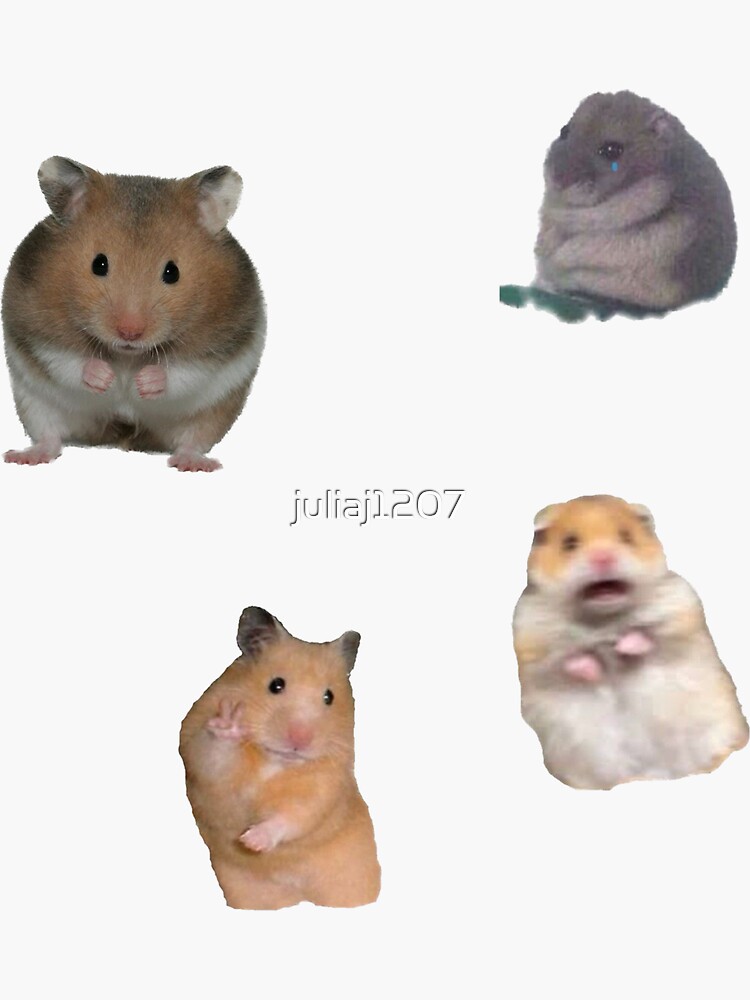 "Hamster Memes" Sticker for Sale by juliaj1207 | Redbubble