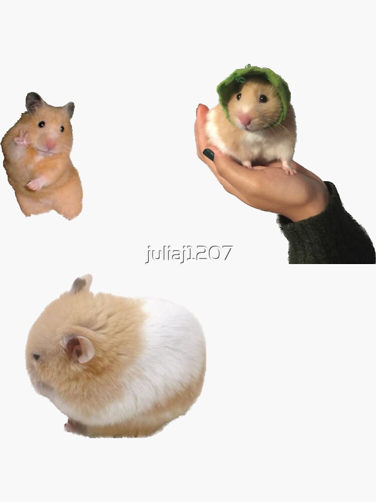 "Hamster Meme" Sticker for Sale by juliaj1207 | Redbubble