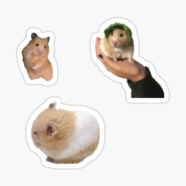 "Hamster Meme" Sticker for Sale by juliaj1207 | Redbubble