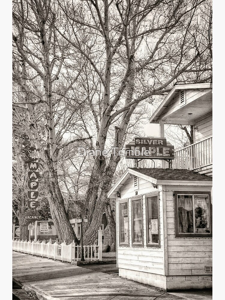 "Silver Maple Inn" Poster by dianemariet | Redbubble
