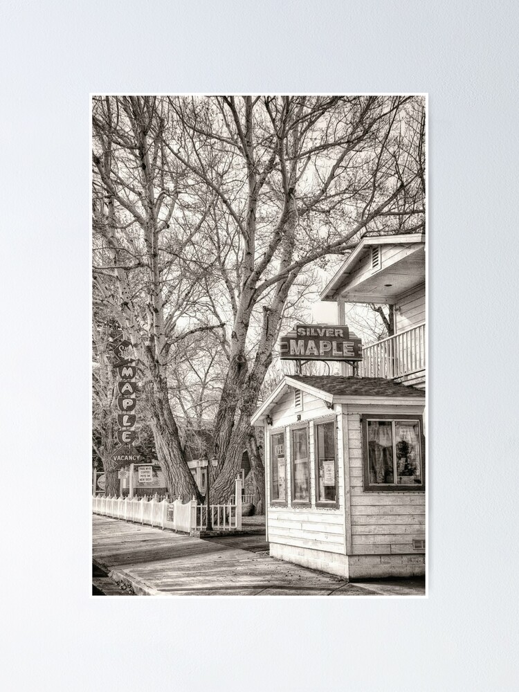 "Silver Maple Inn" Poster by dianemariet | Redbubble