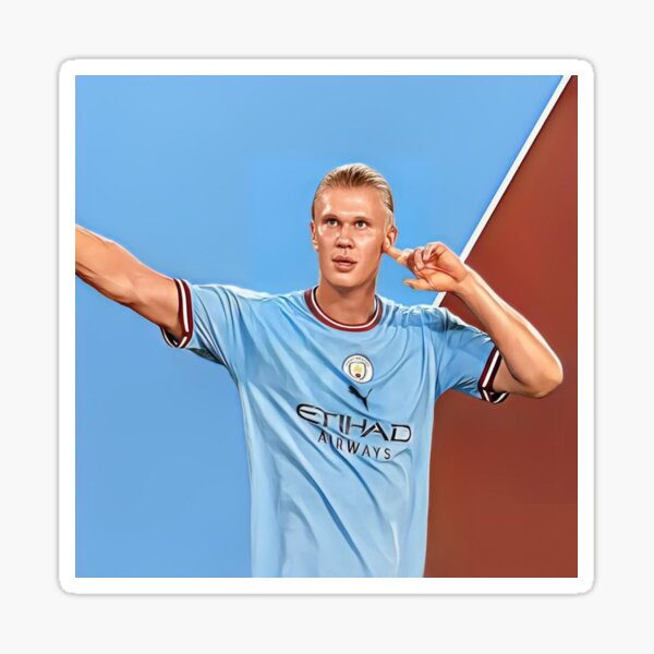 "Erling Haaland " Sticker for Sale by PAdesign1 | Redbubble