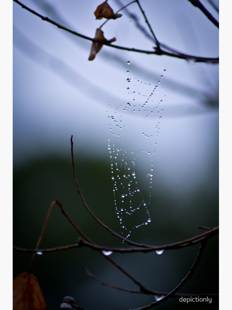 "Spiderweb String of Jewels" Poster for Sale by depictionly | Redbubble