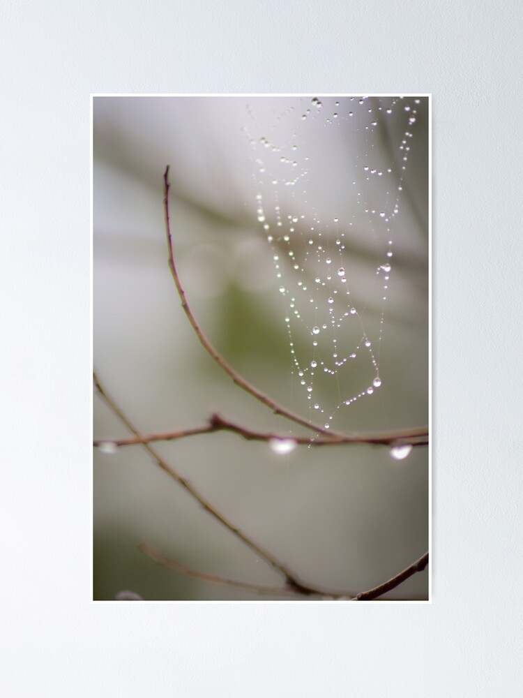 "Spiderweb String of Jewels v2.0" Poster for Sale by depictionly ...