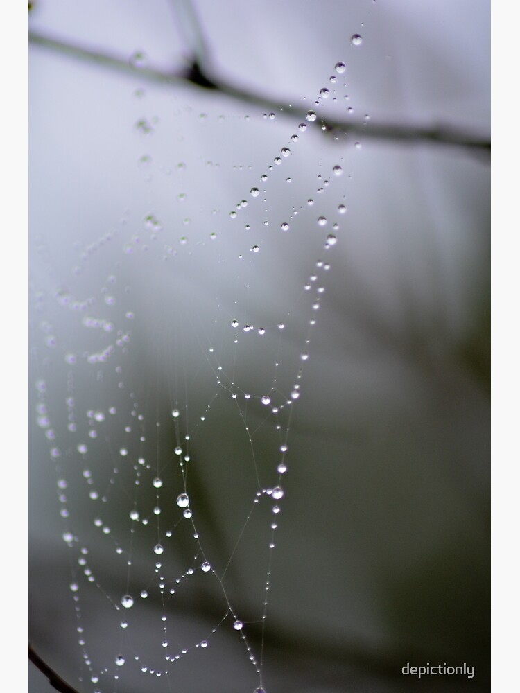 "Spiderweb String of Jewels v3.0" Poster for Sale by depictionly ...