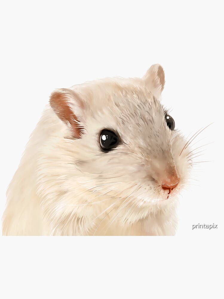 "Gerbil" Sticker for Sale by printapix | Redbubble