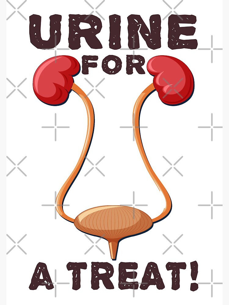 "Urine for a treat! - Urologist,Urology,Post Vasectomy,Funny Vasectomy ...