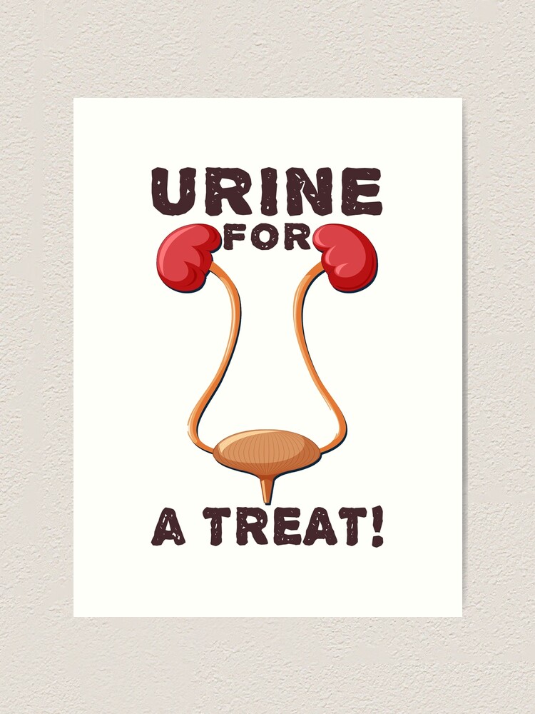 "Urine for a treat! - Urologist,Urology,Post Vasectomy,Funny Vasectomy ...